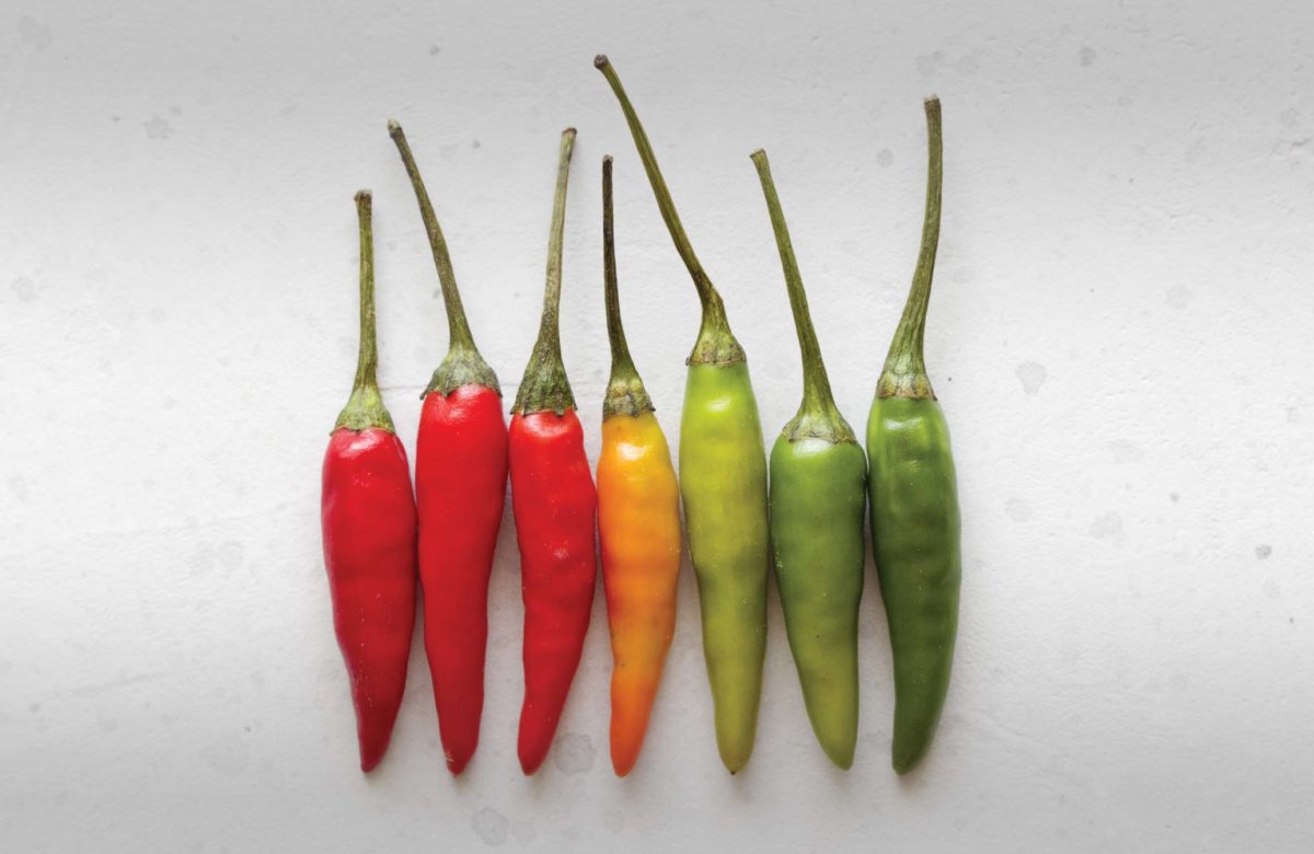 10 Healthcare Podcasts for Industry Leaders | Icario